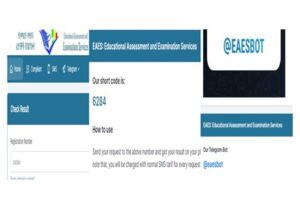 How to Check eaes.edu.et Grade 12 Result 2016-2024 Ethiopia How to See ...