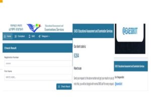 How to Check eaes.edu.et Grade 12 Result 2017 EC/ 2025 Ethiopia How to ...