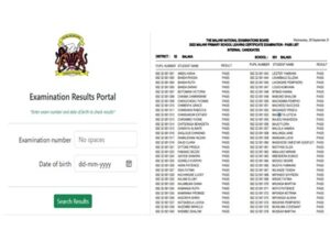 OUT-Maneb MSCE Results 2025-Link Malawi School Certificate of Education ...