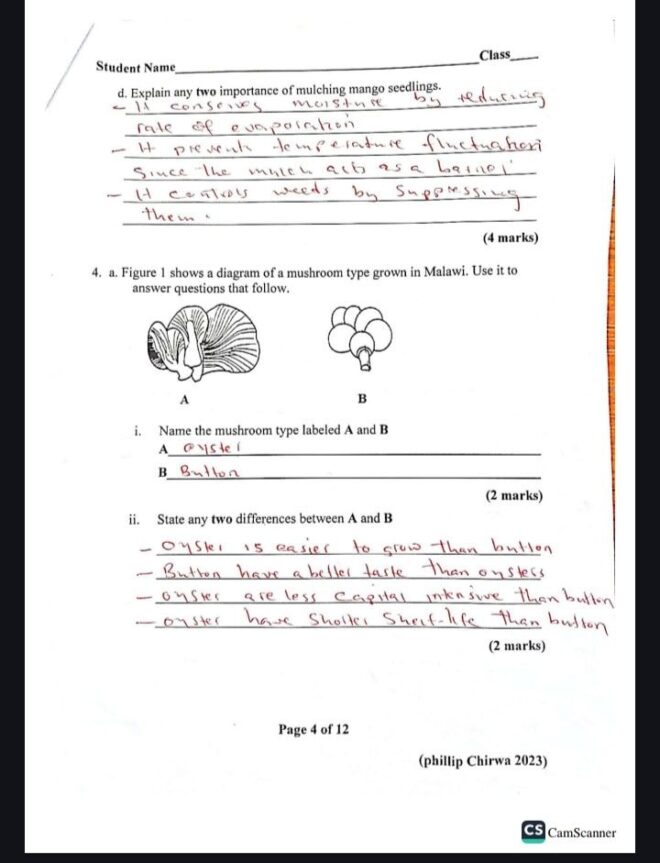 MSCE and JCE Practice Questions Answers Malawi Maneb Form 4 and Form 3 ...